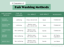 Comparing the Types of No Shampoo Methods (And How to Choose!) - Just ...